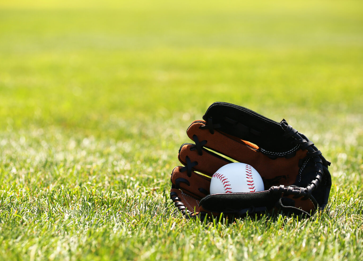 How to Effectively Organize a Baseball Tournament - TeamSnap Blog ...